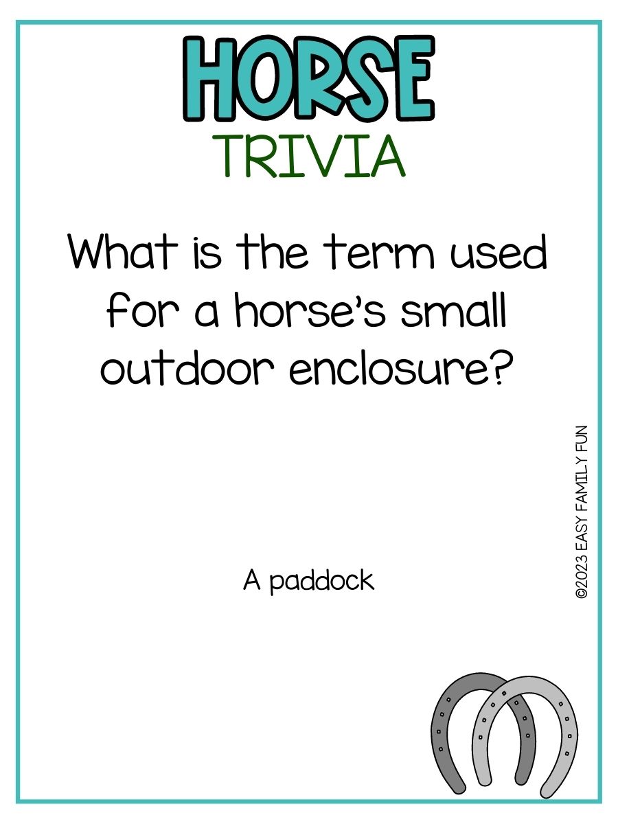 100 Best Horse Trivia Questions and Answers
