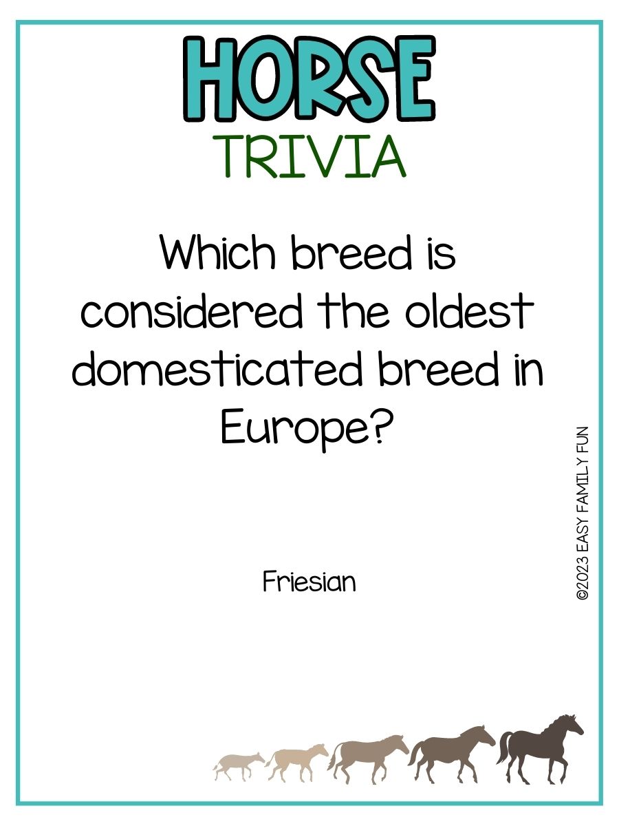 100 Best Horse Trivia Questions and Answers