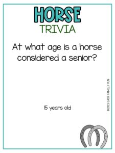 100 Best Horse Trivia Questions and Answers