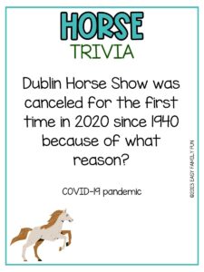 100 Best Horse Trivia Questions and Answers