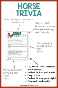 100 Best Horse Trivia Questions and Answers