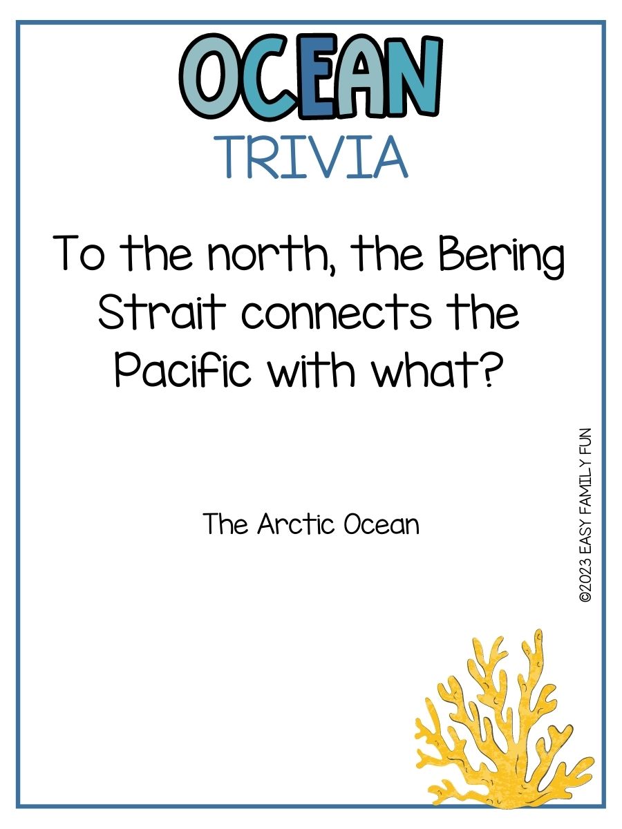 78 Fascinating Ocean Trivia Question and Answers