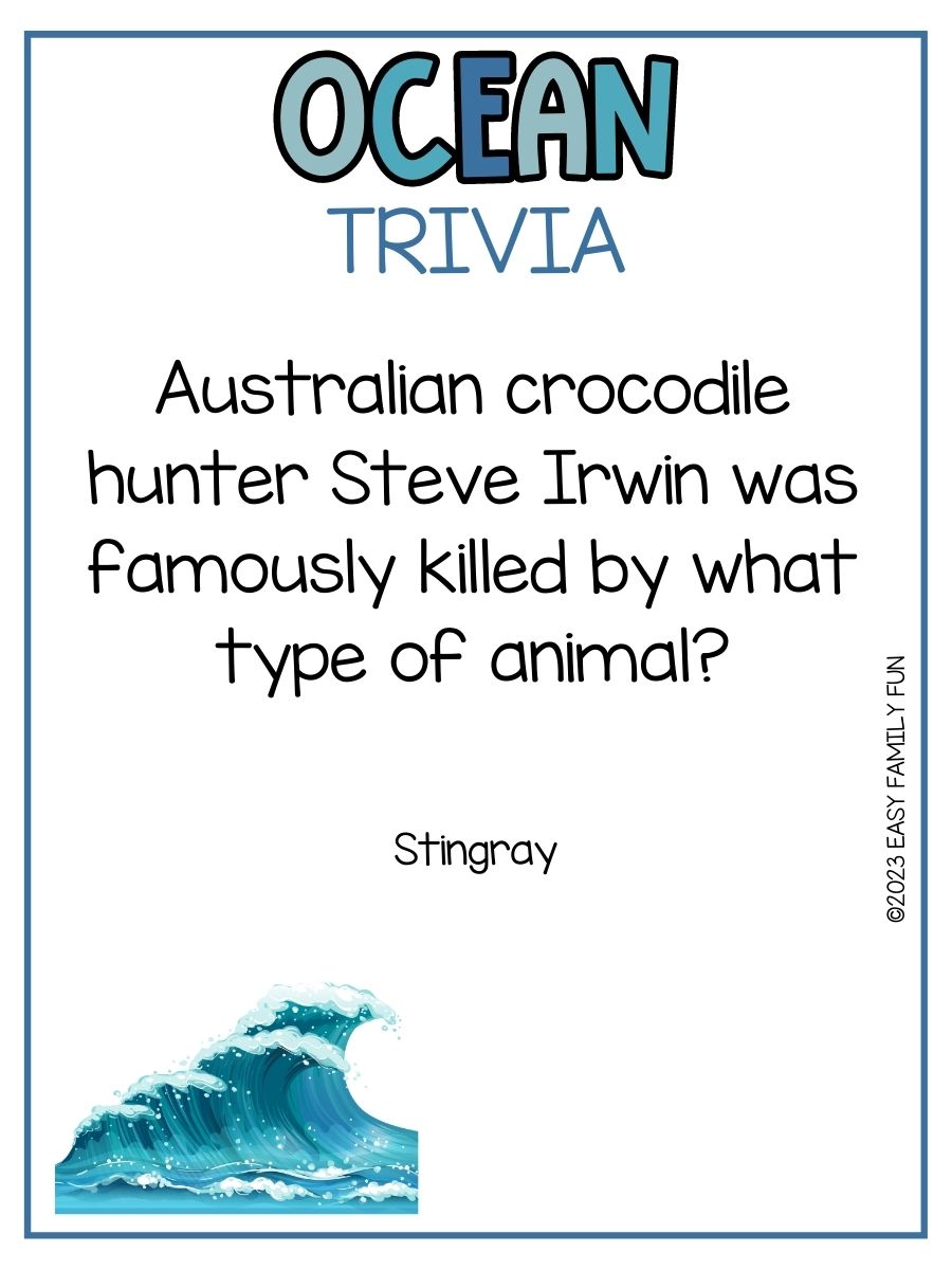 78 Fascinating Ocean Trivia Question and Answers