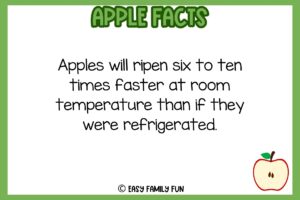 50 Interesting Facts About Apples [Free Fact Cards]