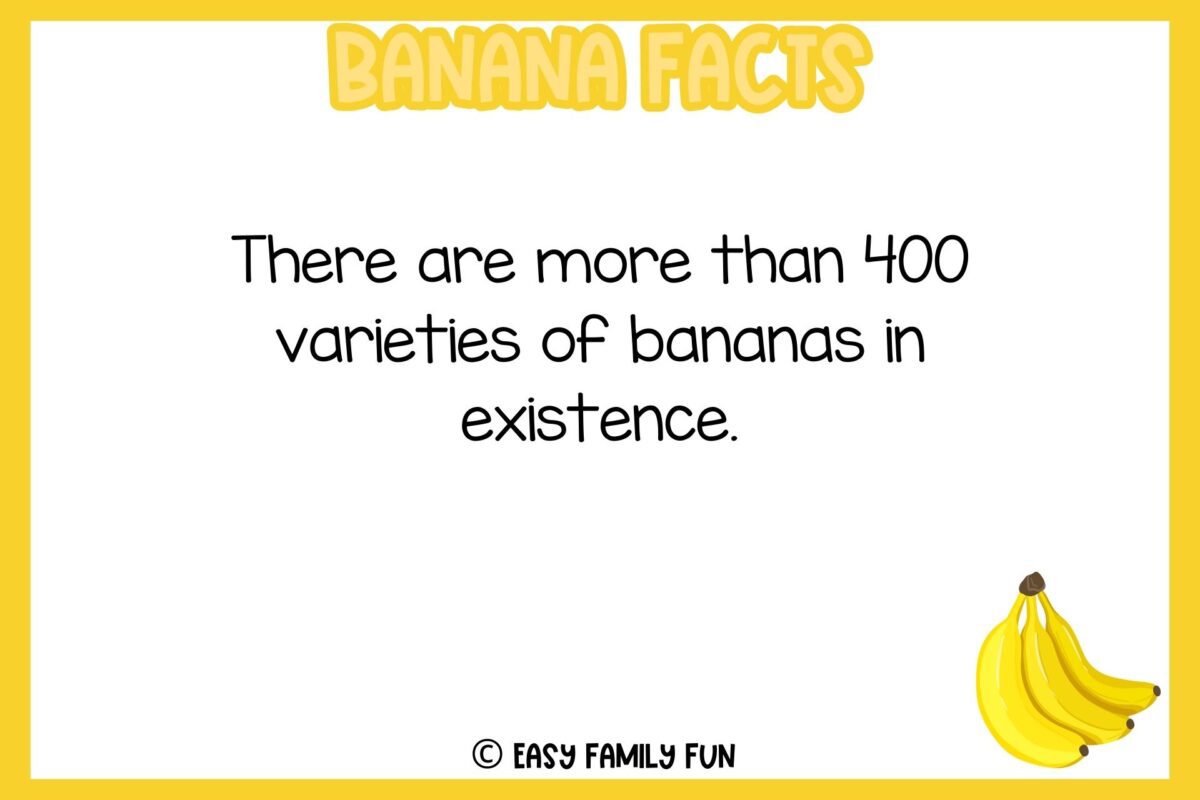 Interesting Banana facts [Free Fact Cards] - Easy Family Fun- Print-and ...