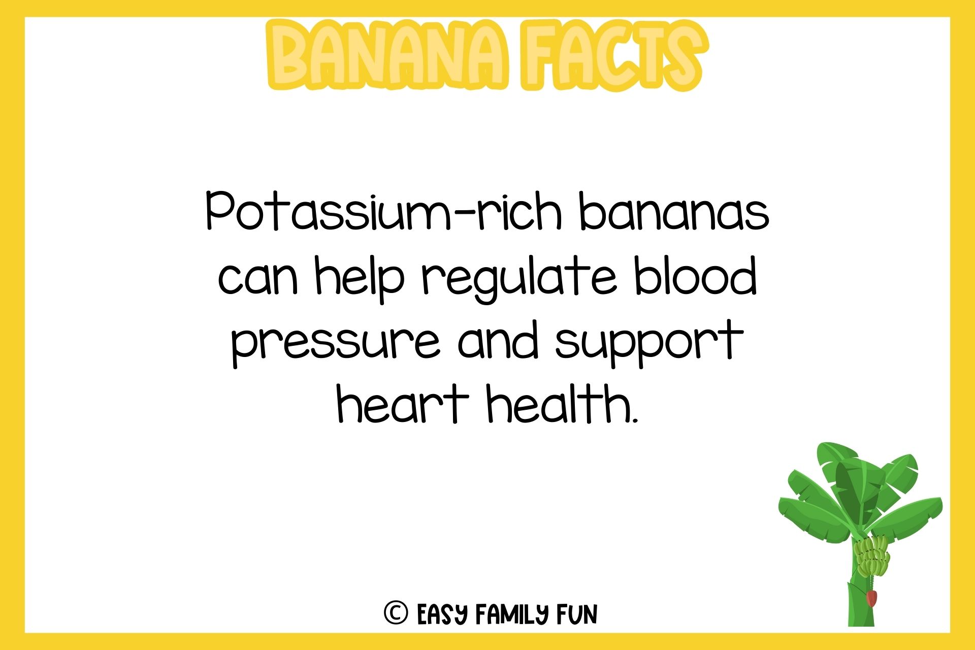Interesting Banana facts [Free Fact Cards] - Easy Family Fun- Games ...