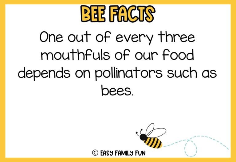 Buzzing with Knowledge: Explore 65 Fascinating Facts About Bees!