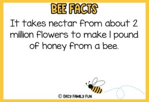 Buzzing with Knowledge: Explore 65 Fascinating Facts About Bees!