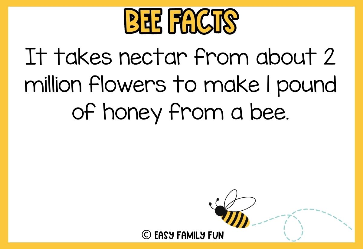 Buzzing with Knowledge: Explore 65 Fascinating Facts About Bees!