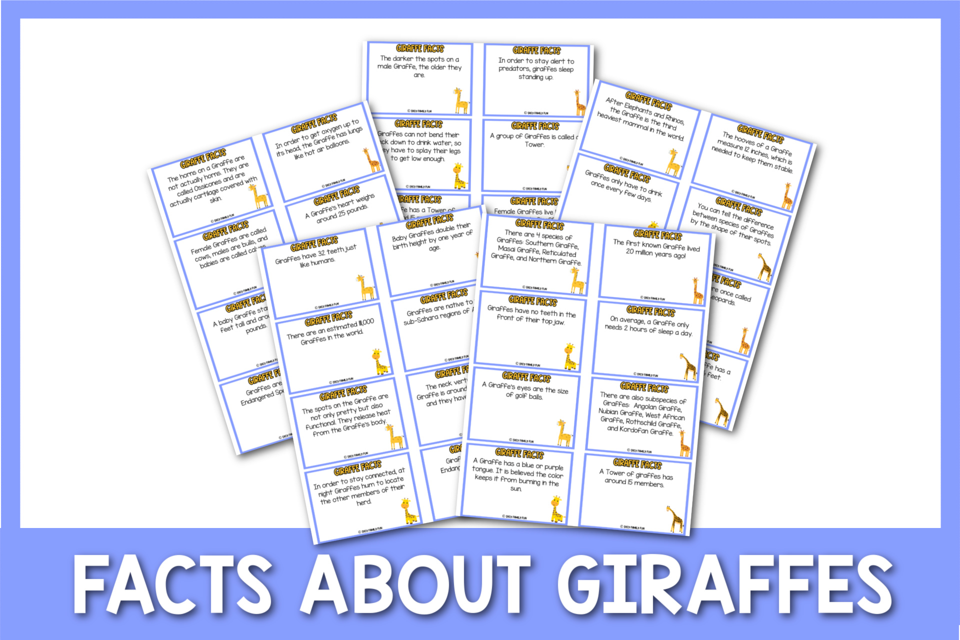 50 Neck-Stretching Facts about Giraffes