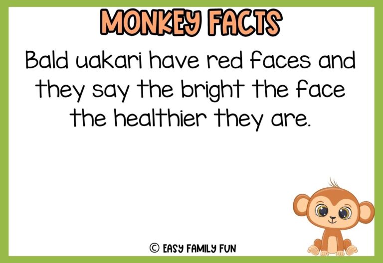 100 Marvelous Facts About Monkeys