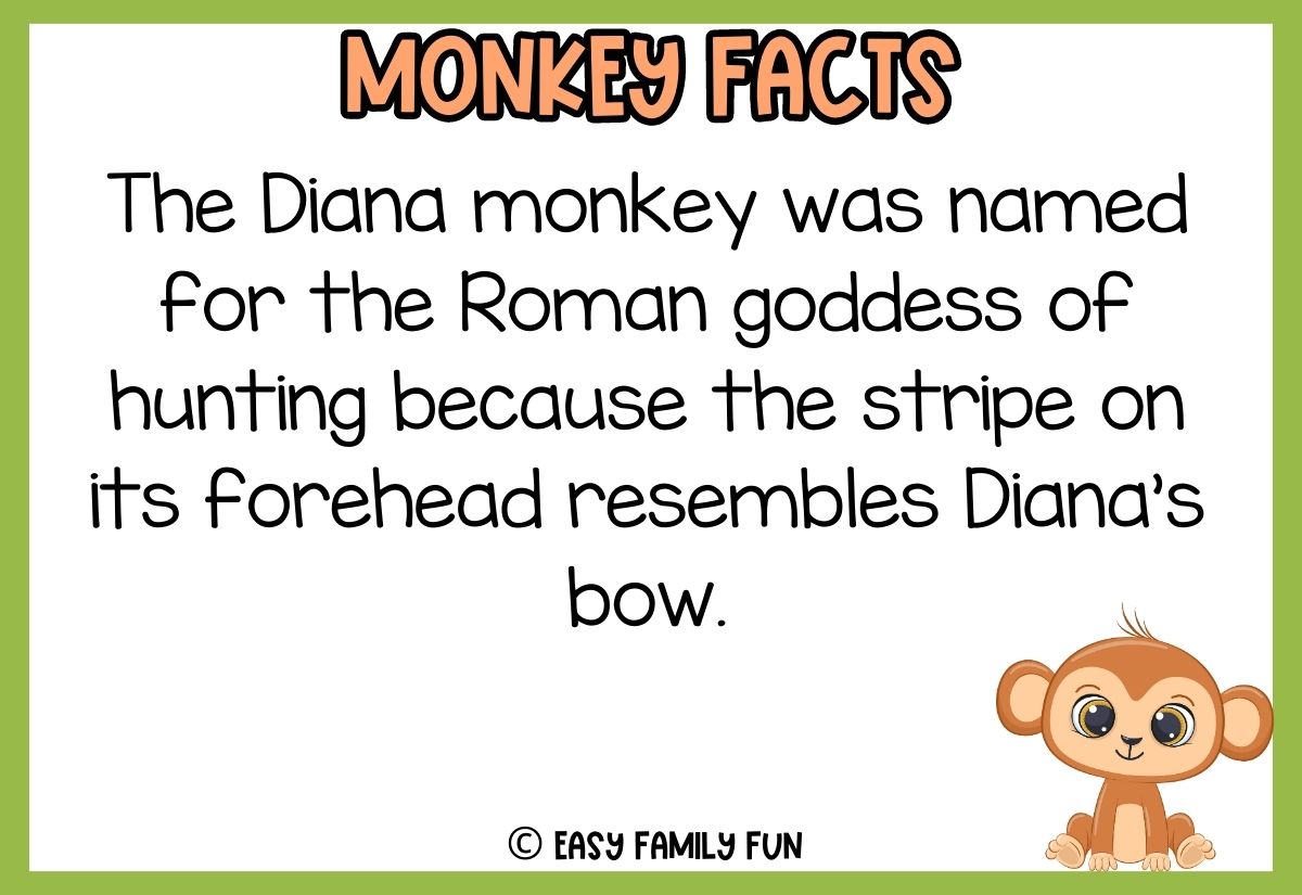 100 Marvelous Facts About Monkeys