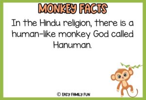 100 Marvelous Facts About Monkeys