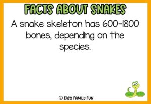 56 Interesting Facts About Snakes [Free Fact Cards]