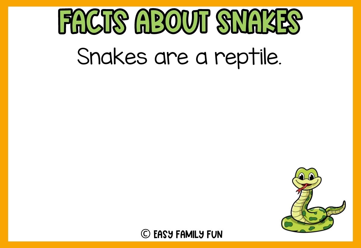 56 Interesting Facts About Snakes [Free Fact Cards]