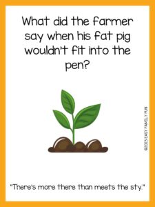 97 Funny Farm Jokes You'll Love
