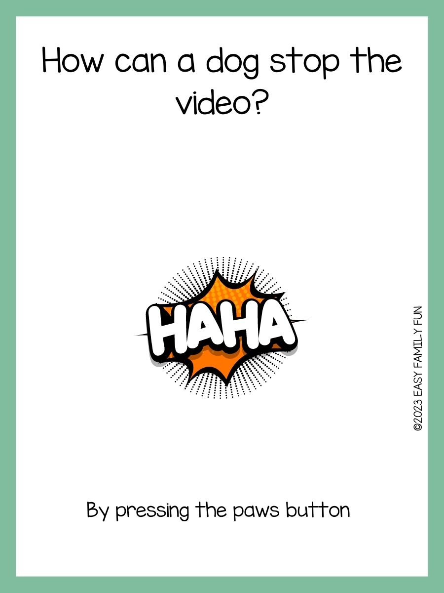 160 Jokes For Teens That Make Them Laugh