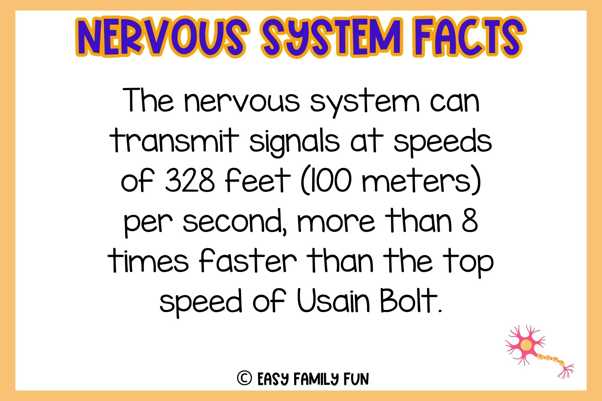 50+ Interesting Facts about the Nervous System [Fact Cards]
