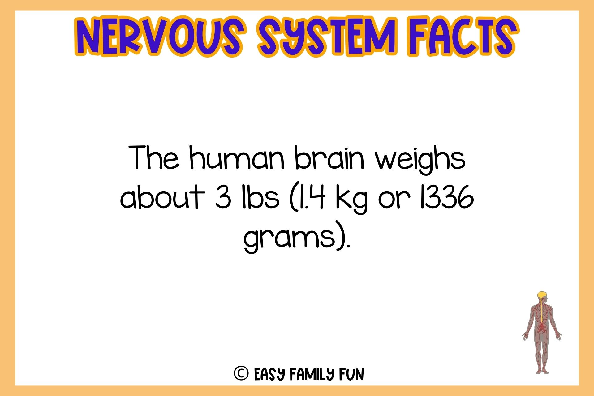 50+ Interesting Facts about the Nervous System [Fact Cards]