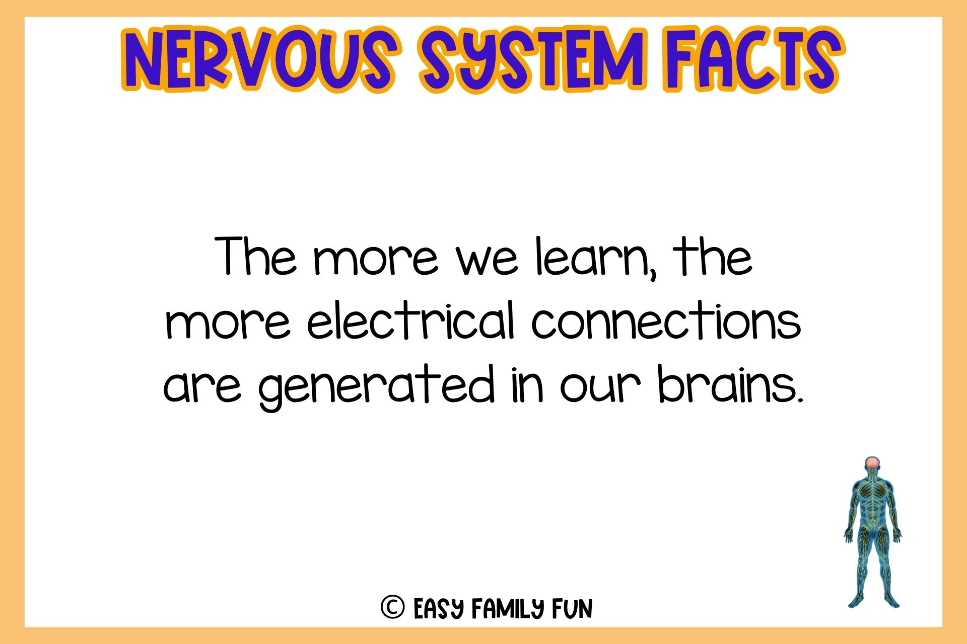 50+ Interesting Facts about the Nervous System [Fact Cards]