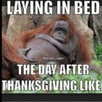 After Thanksgiving Memes - Easy Family Fun- Print-and-Play Family Fun Hub
