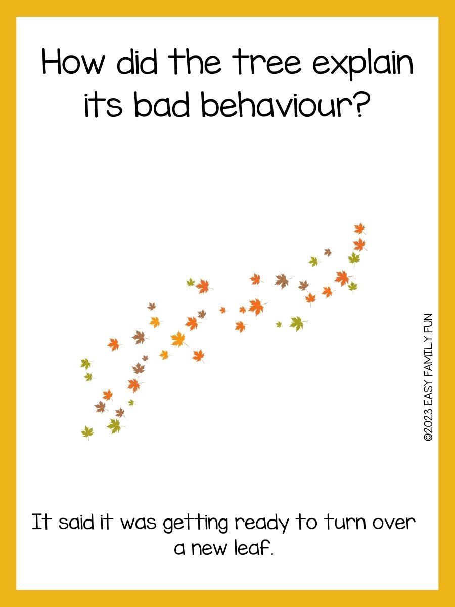 150+ Best Autumn Jokes To Fall For With Laughs