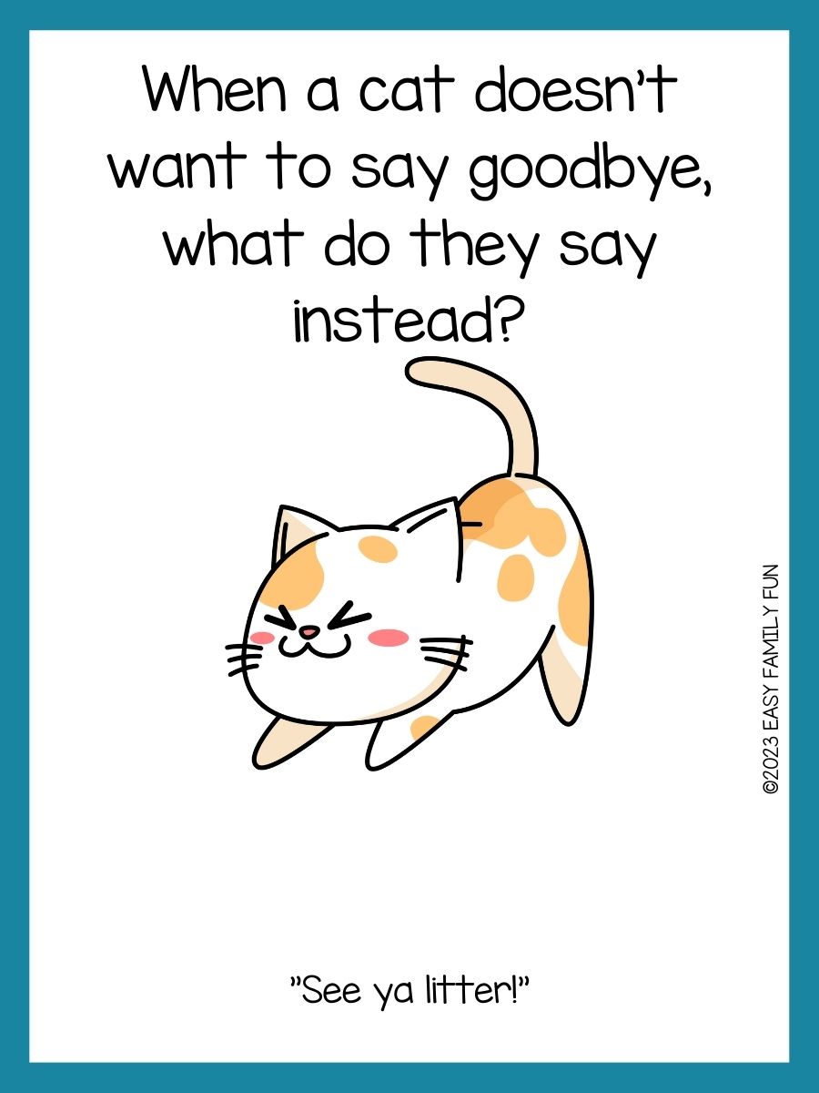 75 Best Cat Jokes That Meow With Laughs