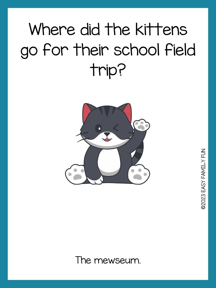 75 Best Cat Jokes That Meow With Laughs