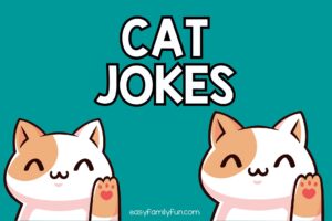 75 Best Cat Jokes That Meow With Laughs