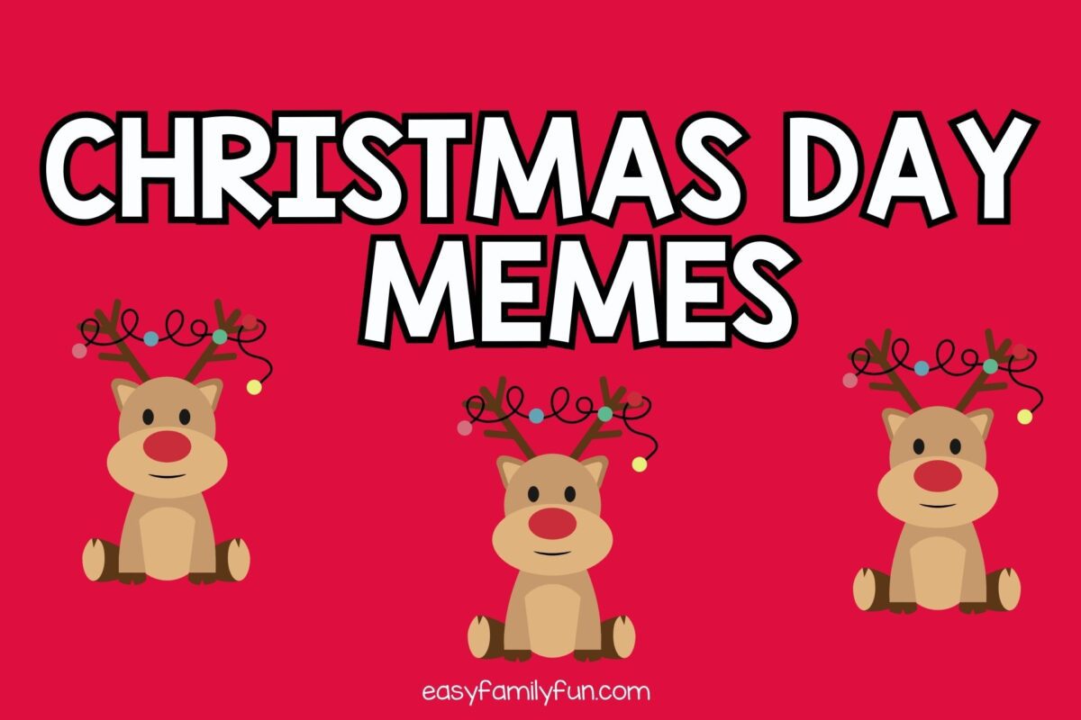 Unwrap the Laughs: Hilarious Christmas Day Memes - Easy Family Fun ...