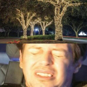 Light Up Your Holidays with Hilarious Christmas Light Memes - Easy ...