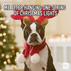Light Up Your Holidays with Hilarious Christmas Light Memes - Easy ...