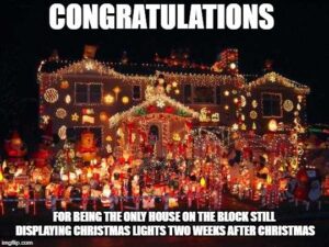 Light Up Your Holidays with Hilarious Christmas Light Memes - Easy ...