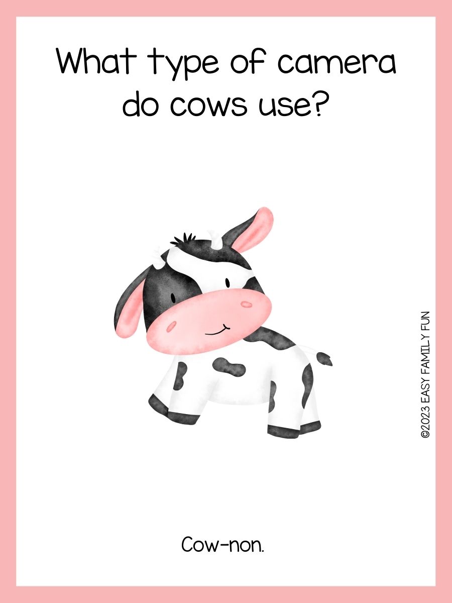 Cow Jokes - Easy Family Fun- Print-and-Play Family Fun Hub