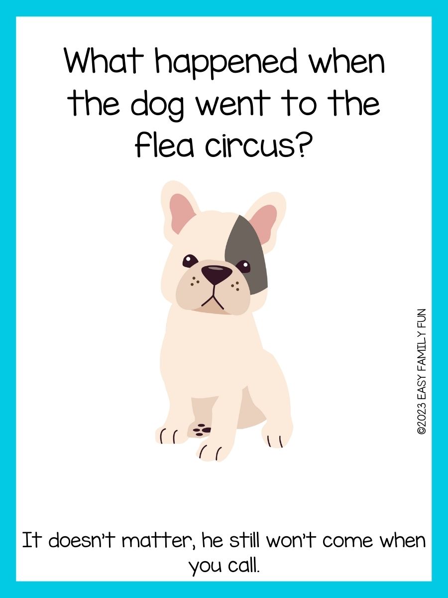 Dog Jokes - Easy Family Fun- Games, Trivia, and Jokes