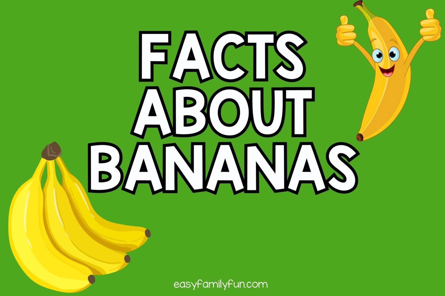 Interesting Banana facts [Free Fact Cards] - Easy Family Fun- Games ...