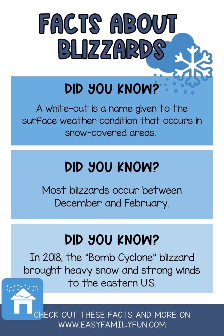 Chilling Insights: 60+ Fascinating Facts About Blizzards You Need to ...