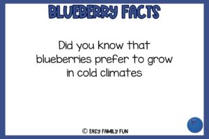 66 Best Facts About Blueberries [Free Fact Cards] - Easy Family Fun ...
