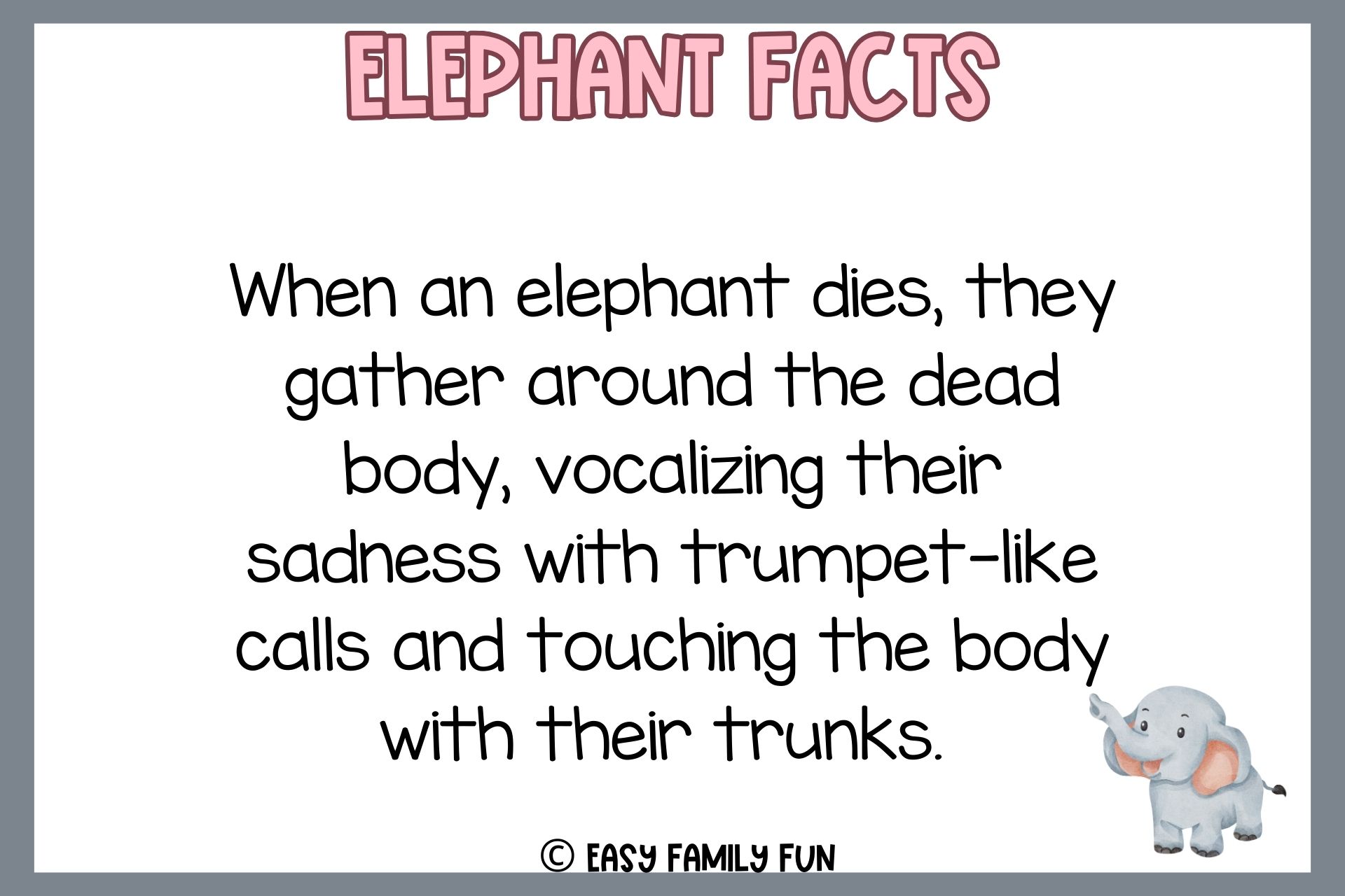 74 Cool Facts About Elephants [Free Fact Cards]
