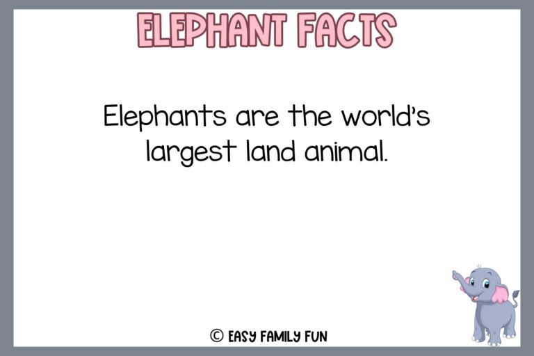 74 Cool Facts About Elephants [Free Fact Cards]
