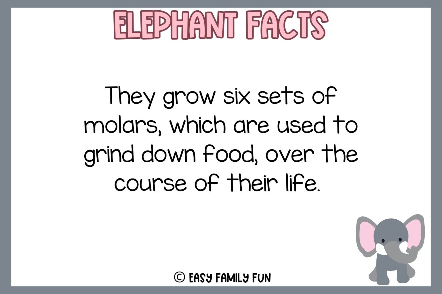 74 Cool Facts About Elephants [Free Fact Cards]