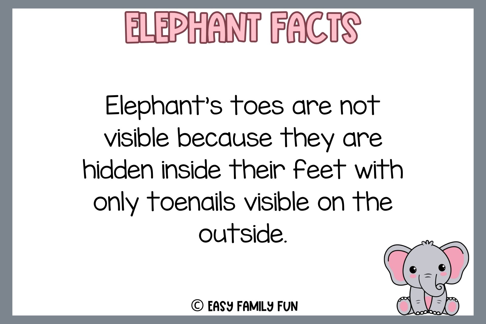 74 Cool Facts About Elephants [Free Fact Cards]