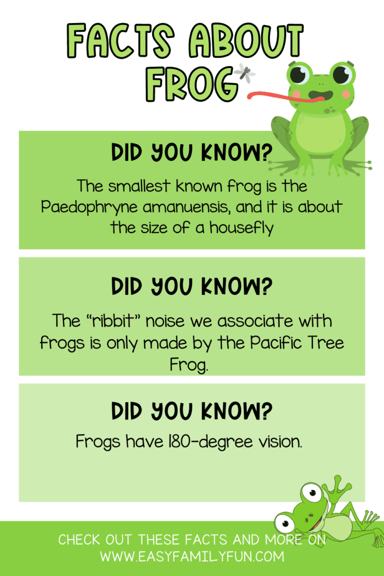 55 Best Facts about Frogs [Free Fact Cards]