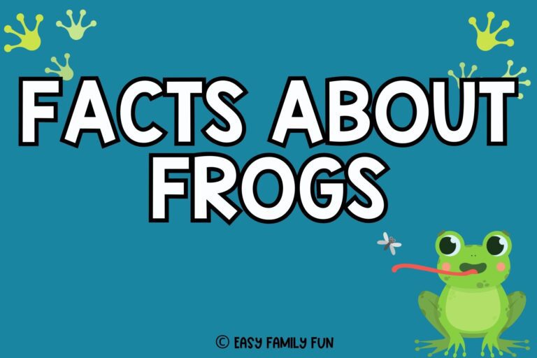 55 Best Facts about Frogs [Free Fact Cards]