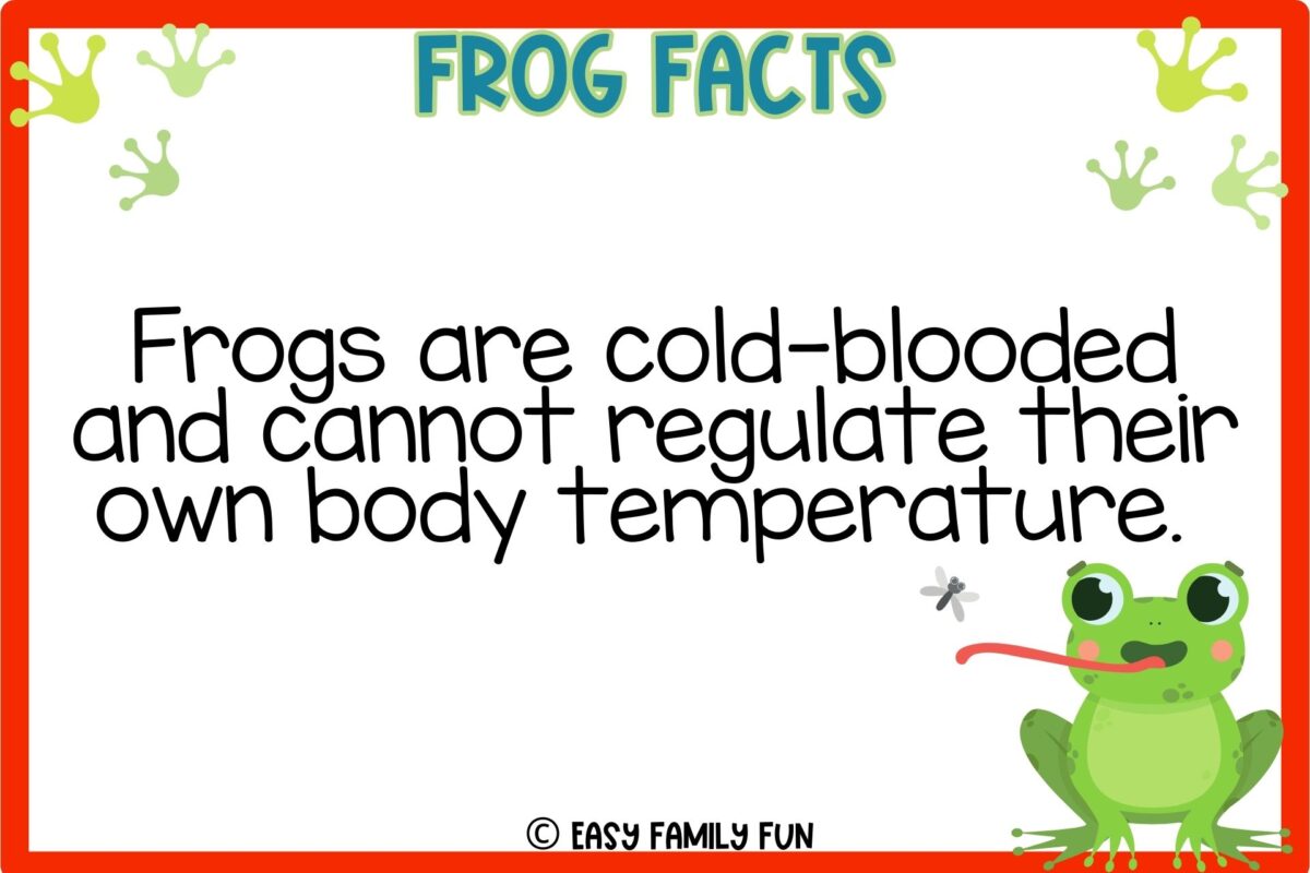 55 Best Facts about Frogs [Free Fact Cards]