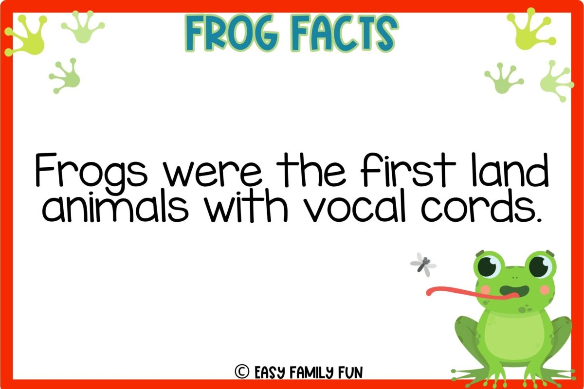 55 Best Facts about Frogs [Free Fact Cards]