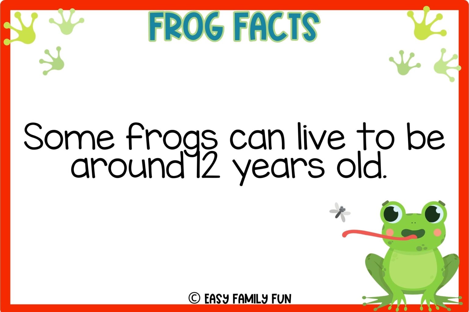 55 Best Facts about Frogs [Free Fact Cards]
