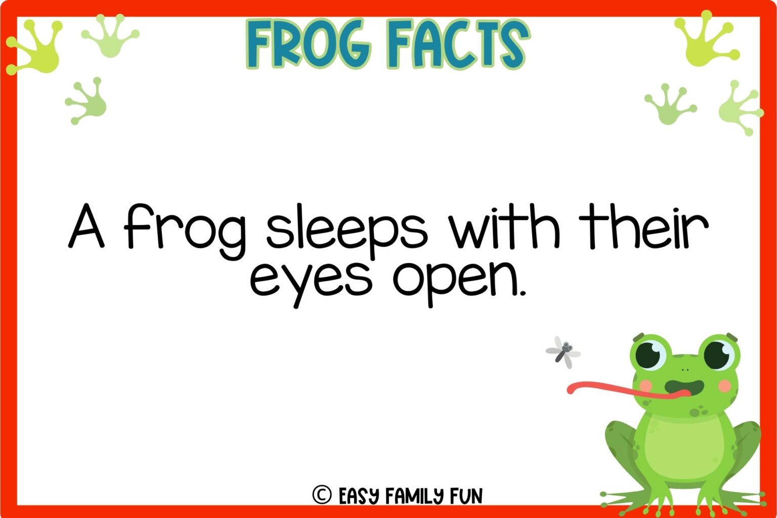 55 Best Facts about Frogs [Free Fact Cards]