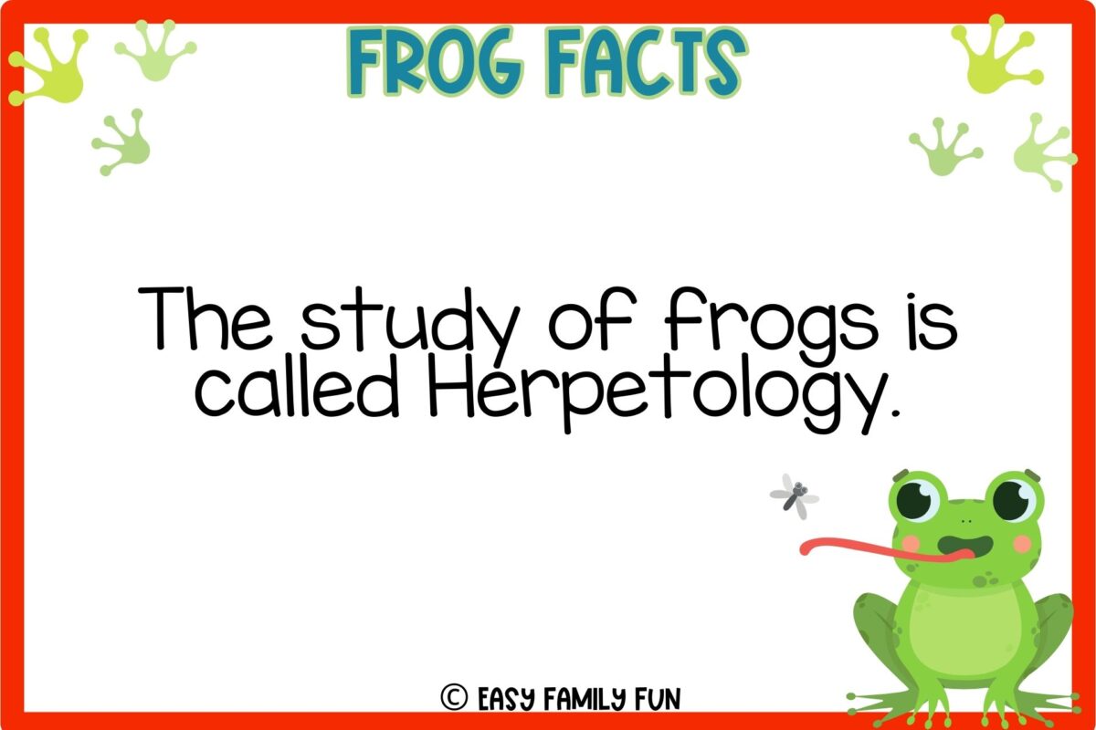 55 Best Facts about Frogs [Free Fact Cards]
