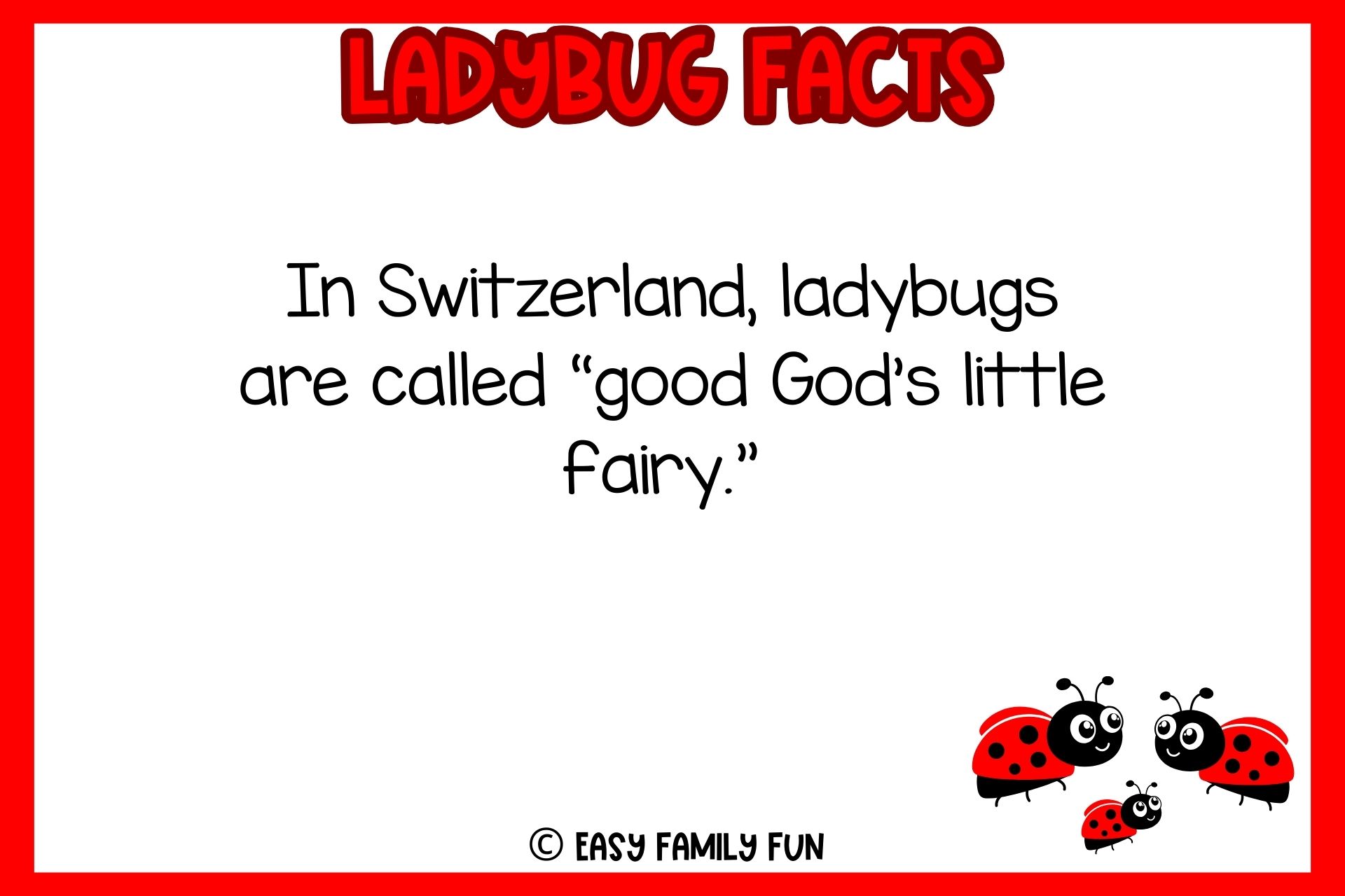 Interesting Facts about Ladybugs [Free Fact Cards] - Easy Family Fun ...